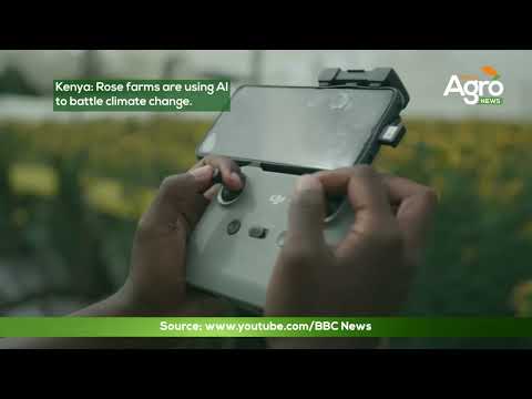 Rose Farms in Kenya use AI | Zimbabwe drought crisis | Greenhouses Boost Food Security in Somalia