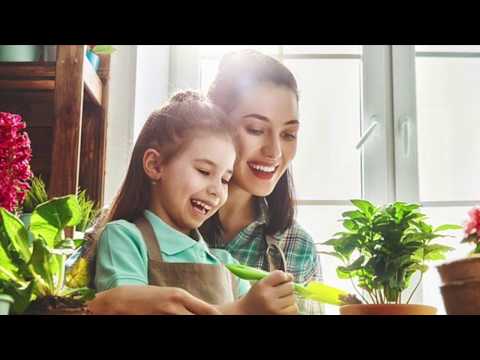 Plants and Animals - Similarities and Differences