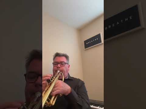 Bach Stradivarius CL 239 Large Bore C Trumpet 2001 - | Reverb