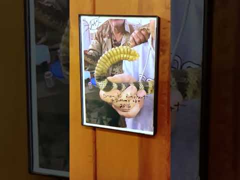 Waynoka Oklahoma Rattlesnake Festival (Den of Death Preview)