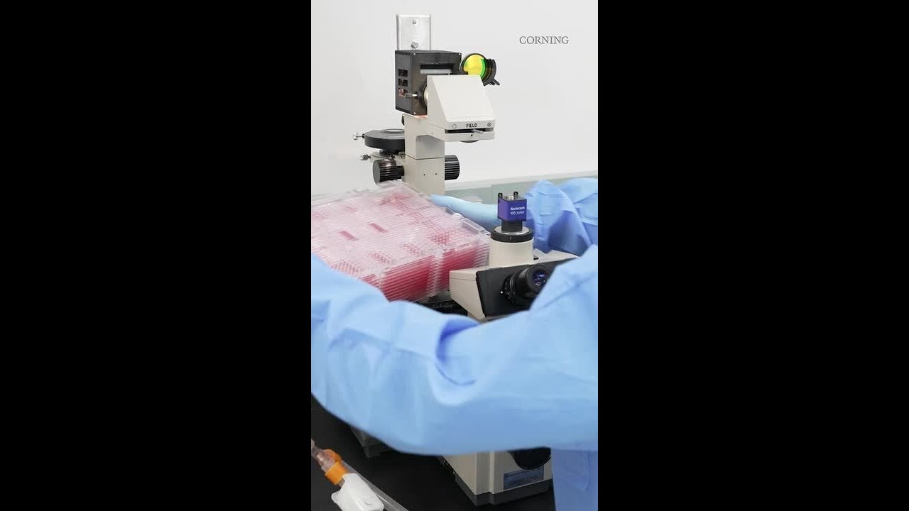 Tips & Tricks: Visualizing Cell Growth in Corning® HYPERStack® and CellStack® Vessels