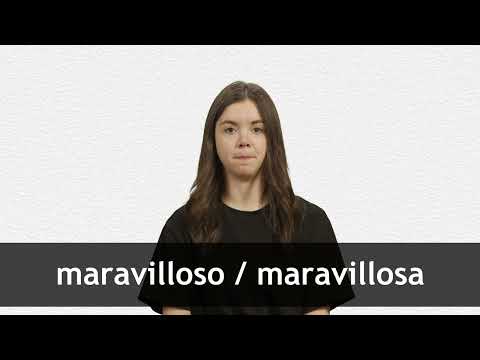 English Translation of “MARAVILLOSO” | Collins Spanish-English Dictionary