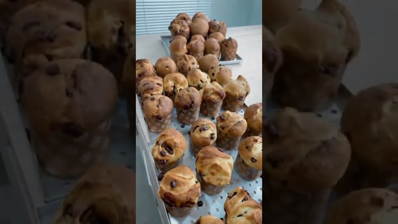 CURSO DE PANETONES 🎄🤩 Link nos comentários #shorts