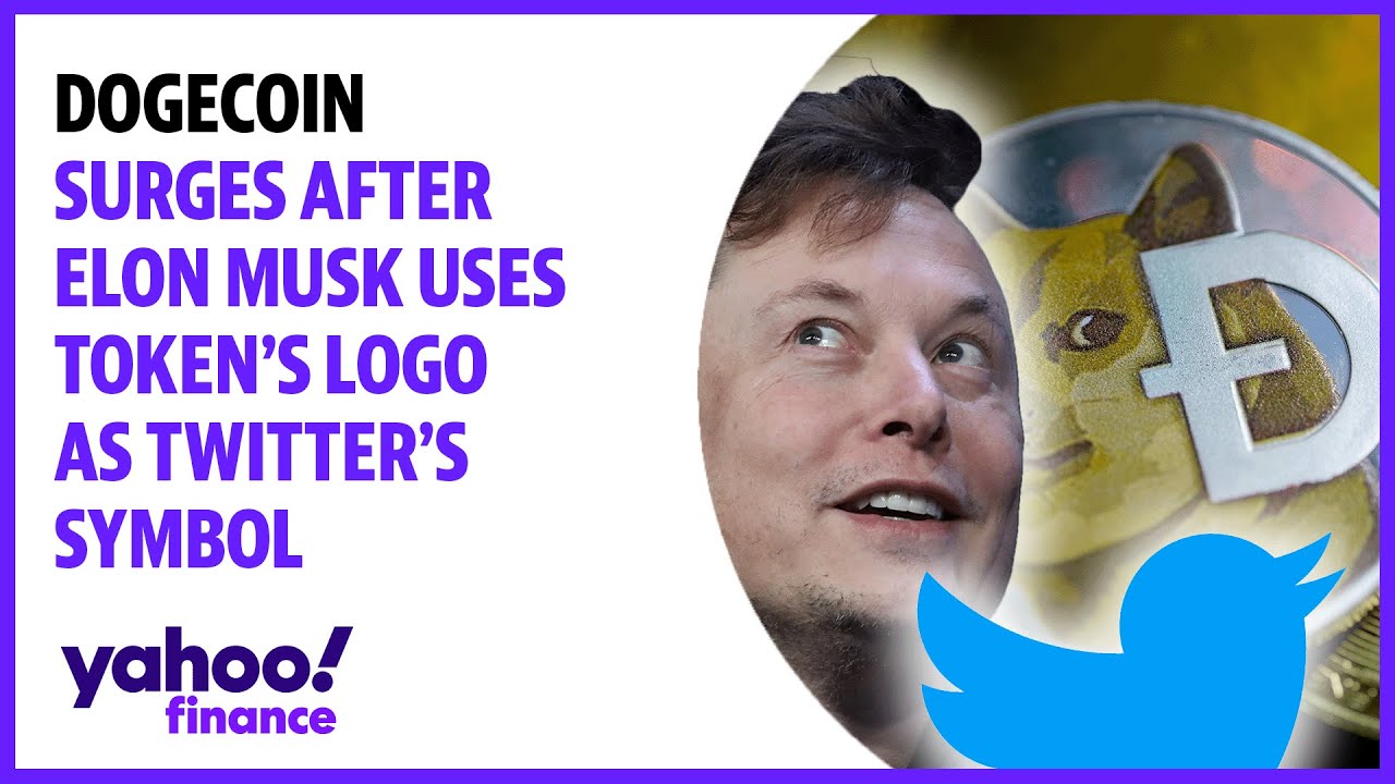 Dogecoin surges after Elon Musk uses token’s logo as Twitter’s symbol