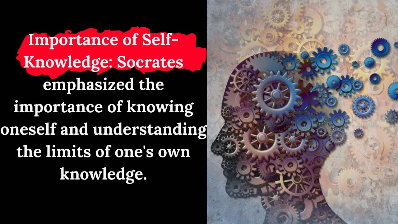 Importance of Self-Knowledge: Socrates #knowyourself #selfdiscovery  #introspection #innergrowth