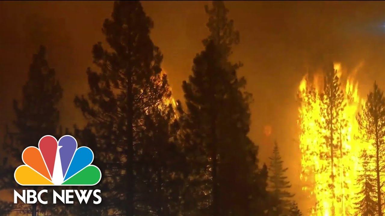California’s Dixie Fire Becomes Nation’s Largest Active Wildfire