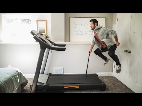 Monday chuckles | bluebird of bitterness