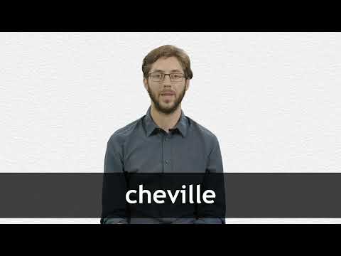 English Translation of “CHEVILLE” | Collins French-English Dictionary