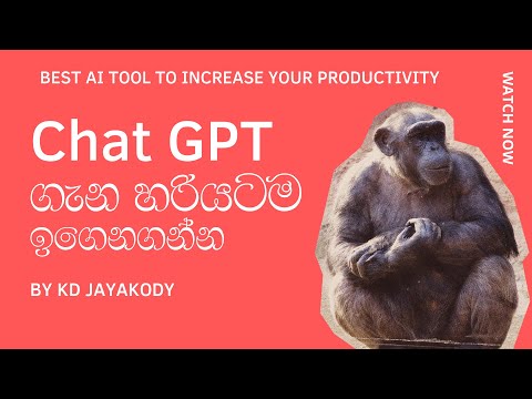 How to Use Chat GPT | Special Training | Sinhala Tutorial | KD Jayakody