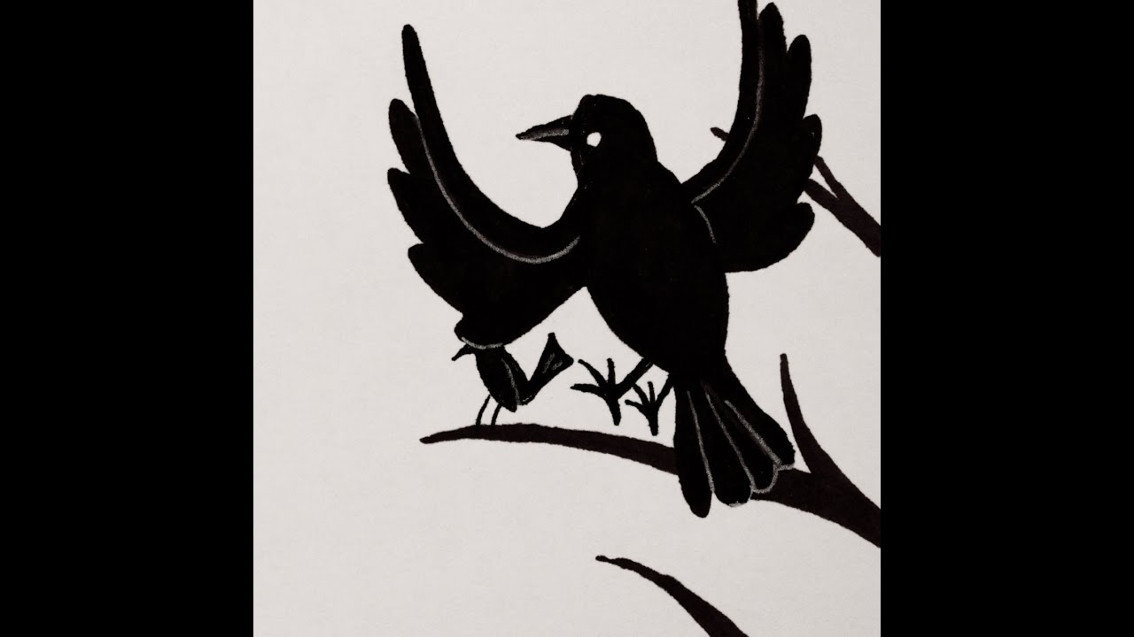 Black Bird Animation Custom Flipbook Inspired by The Beatles