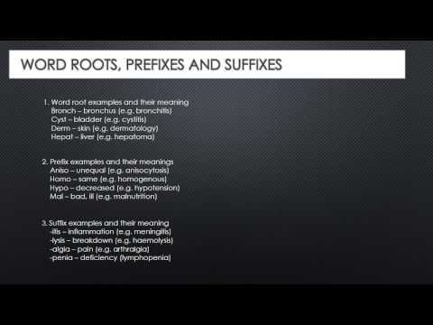 Word Roots,Prefixes and Suffixes