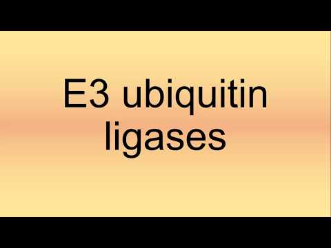 E3 Ubiquitin Ligases Pronunciation | How to Say | How to Pronounce