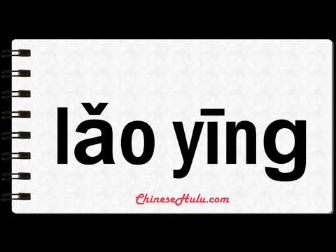 How to Say eagle in Mandarin Chinese