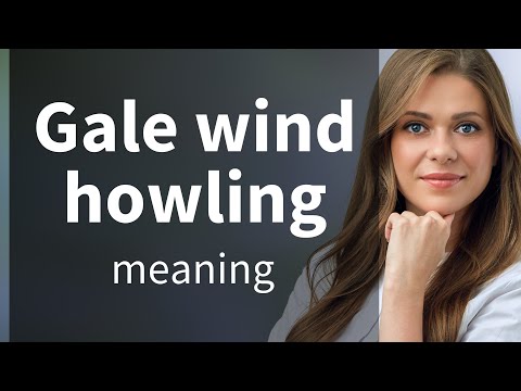 Unraveling the Fury: Understanding "Gale Wind Howling"