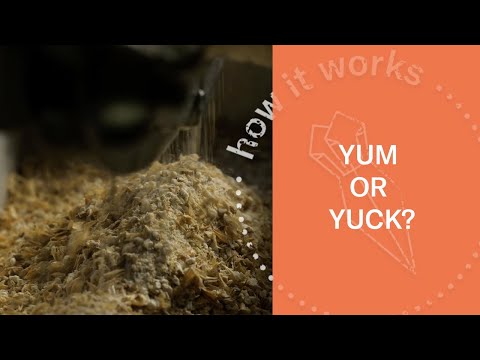 Alternative Proteins: What alternative sources of protein do we have for the future?