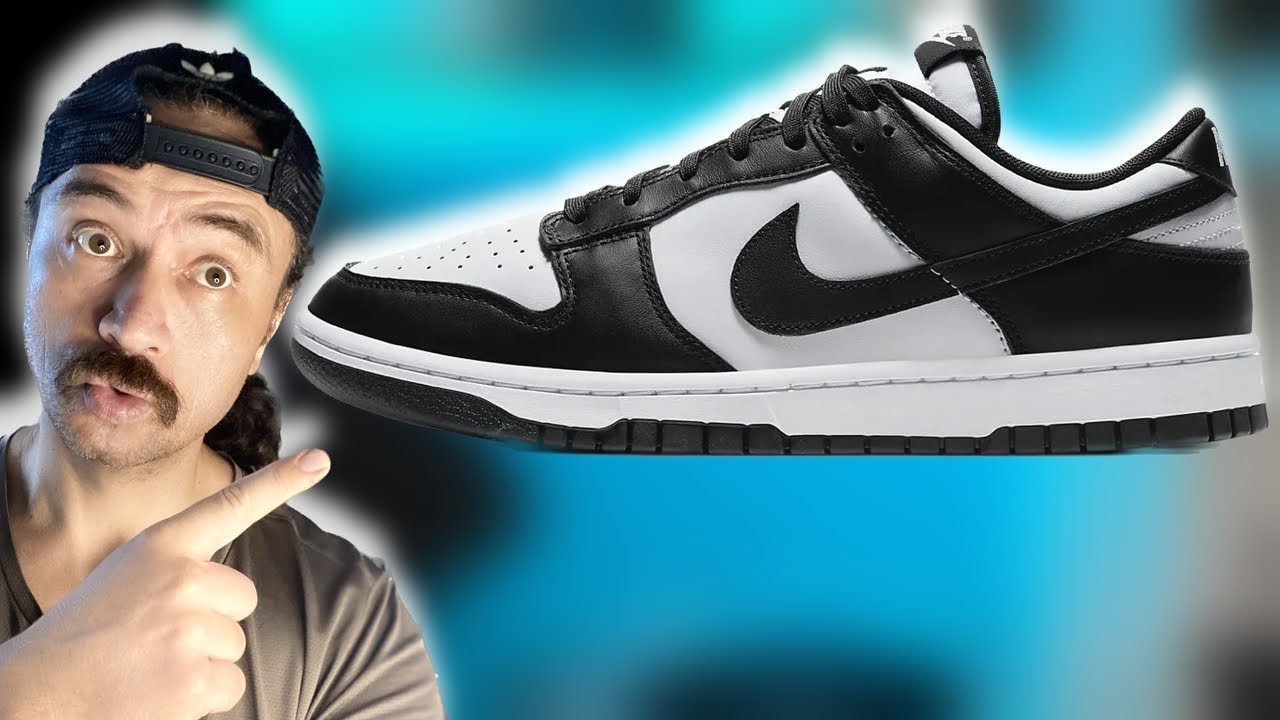 Why do Sneakerheads HATE the PANDA DUNK?