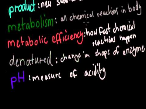 scientific terms - activity and temp (HSC biology)