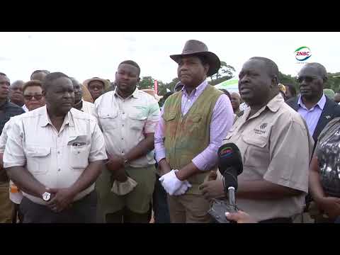 Zambia has enough onions - ZNFU