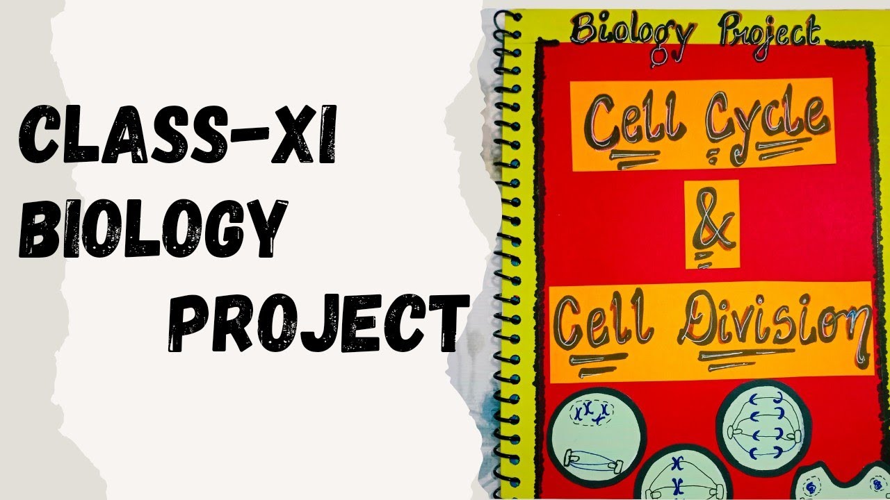 Class 11 (Medical) Biology Project (Cell Cycle and Cell Division) | Karan Explores