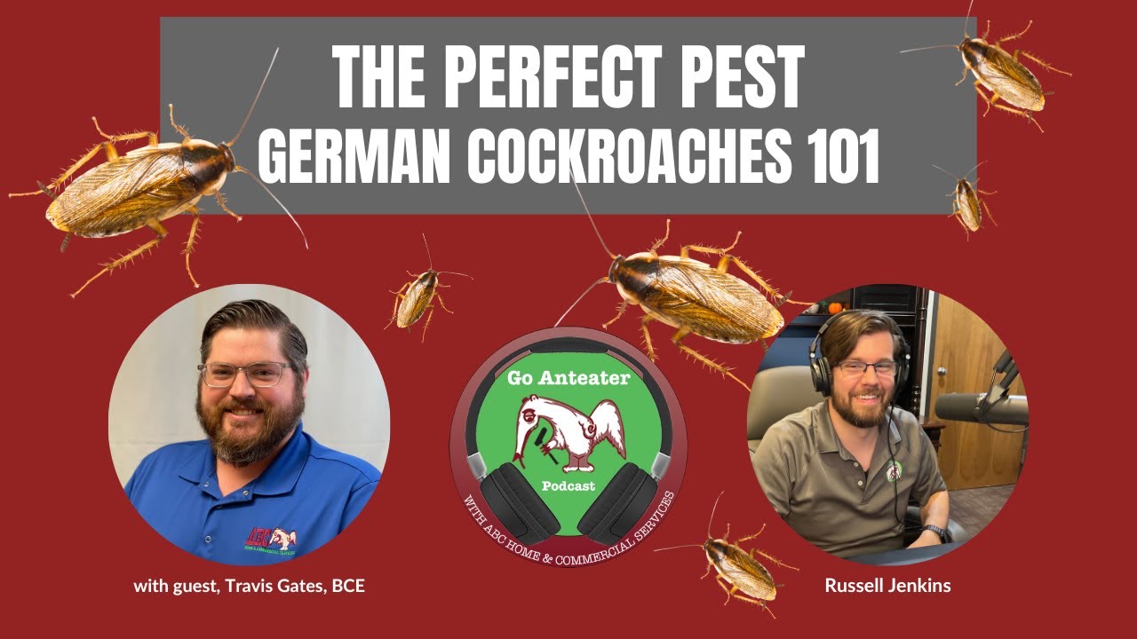 The Perfect Pest : German Cockroach 101