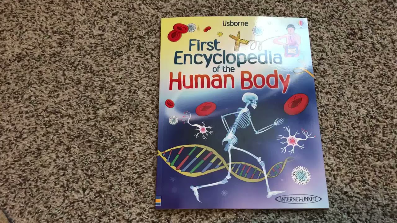 First Encyclopedia of the Human Body 🤽🏼‍♂️ Usborne Books & More