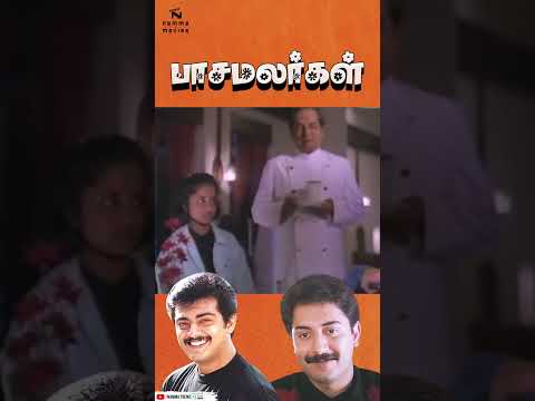 இந்த பொண்ணுங்கள மட்டும் புரிஞ்சிக்கவே முடியாது 💯| Paasamalargal | Arvind Swamy | @NammaTrend