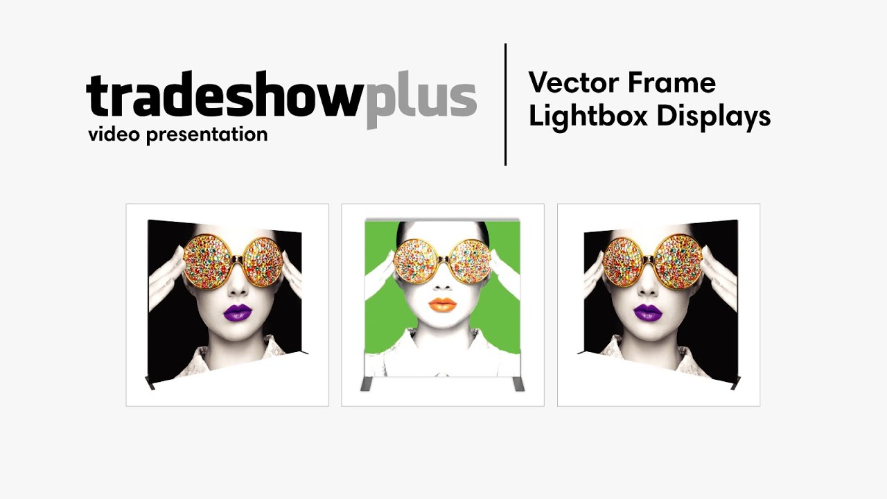 Vector Frame Lightbox Displays