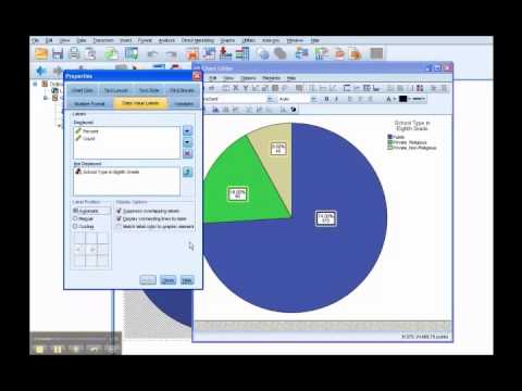 Pie Chart in SPSS 20