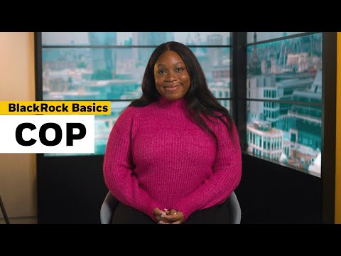 What is the COP CLIMATE SUMMIT? | BlackRock UK Explains