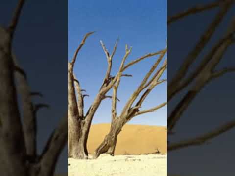 Desertification. মরুকরণ