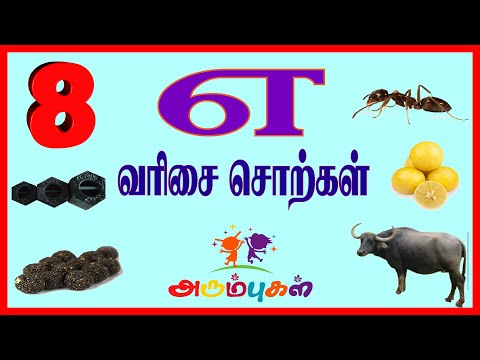 எ வரிசை சொற்கள் | Ae Varisai Sorkkal | Tamil Learning Video Kids, Preschoolers, Children | Arumbugal