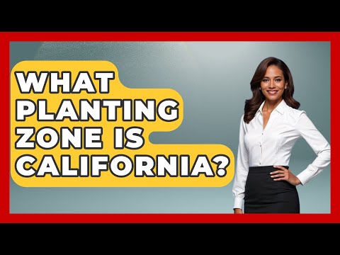 What Planting Zone Is California? - The Plant Enthusiast