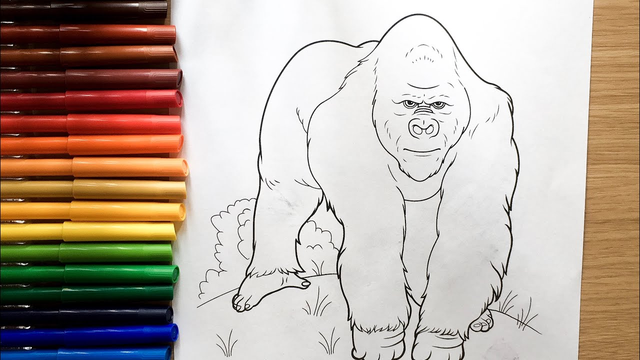 Coloring // Gorilla coloring page // Gorilla // Coloring Pages for Children // Animals