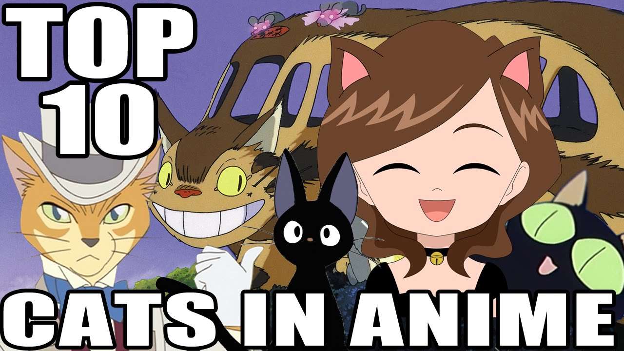TOP 10 CATS IN ANIME!