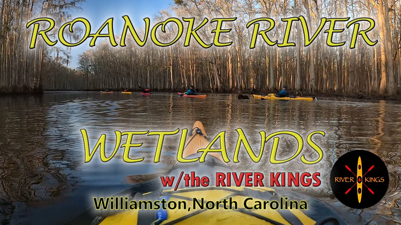 Roanoke River Wetlands - Part 1