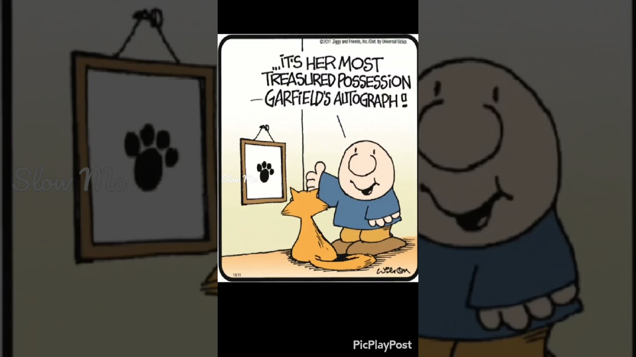 #Ziggy comic