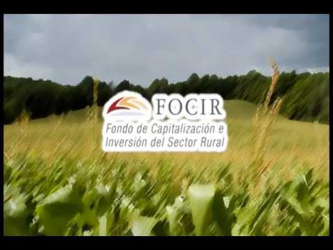 FOCIR INC Monterrey 2015 | Fondo de Capitalización e Inversión del ...