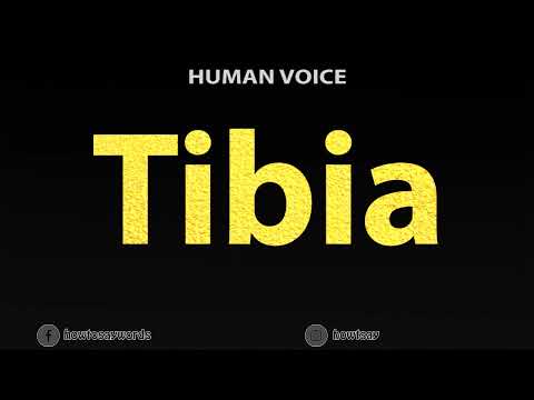 How To Pronounce Tibia