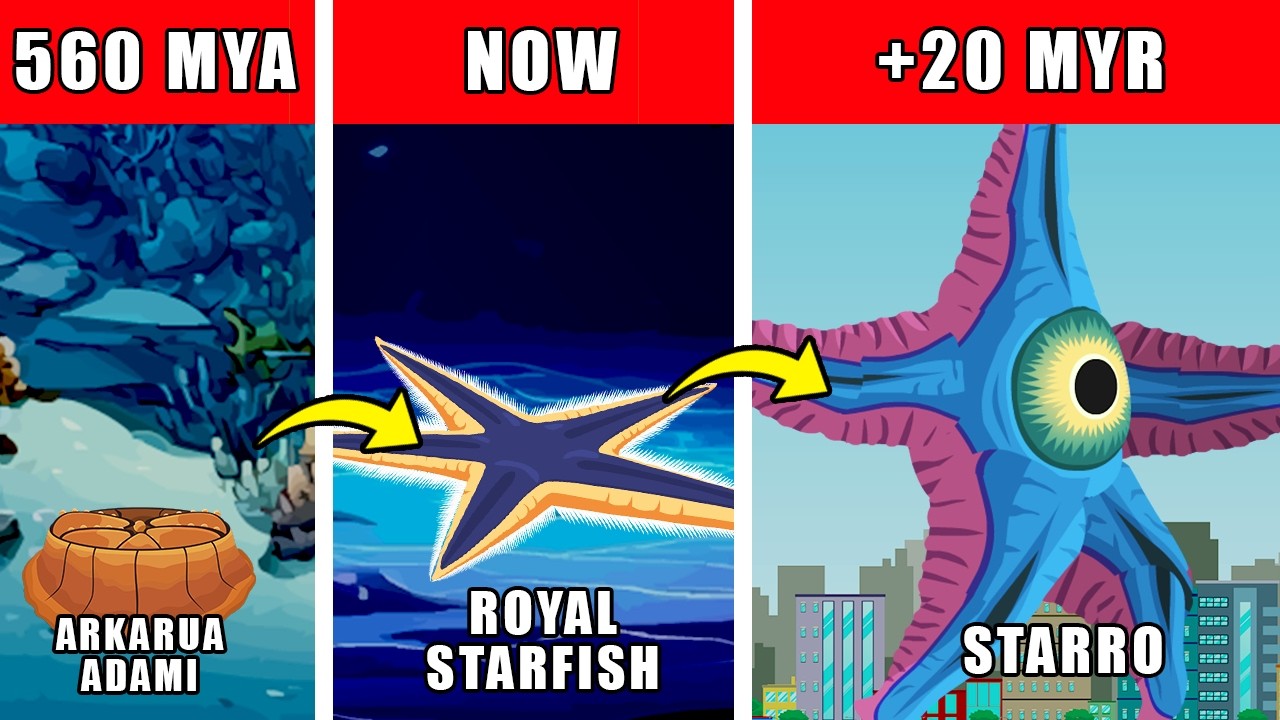 Starro Origin Evolution: How Starro Could Have Evolved