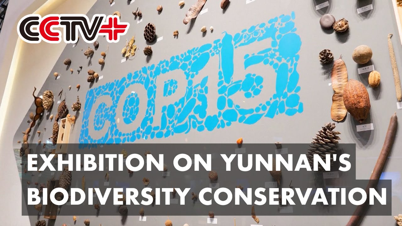 Exhibition on Yunnan's Biodiversity Conservation Practices, Achievements Open to COP15 Attendees