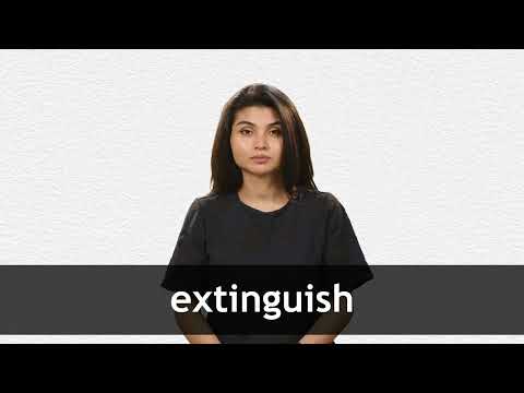 EXTINGUISH - Definition & Translations | Collins English Dictionary