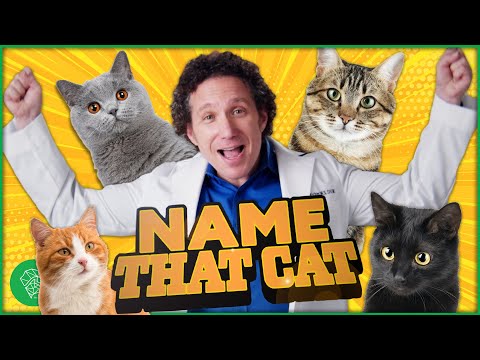Can He Guess Your Cat's Name? | Dr. Gary Richter - Ultimate Pet Vet