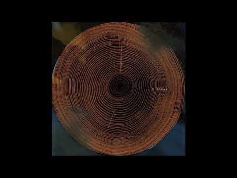 Inherent - Mutare