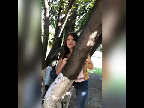 Música en la prehistoria