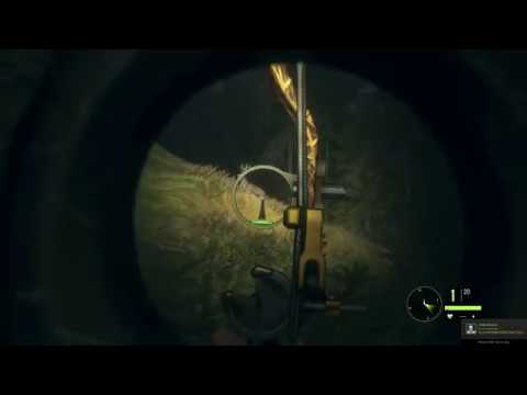 Steam Community :: Video :: theHunter: COTW - Bow kills compilation