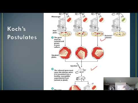 Chapter 14: Process of Disease
