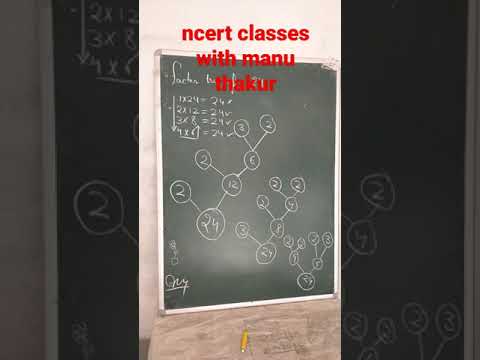 factors tree of 24