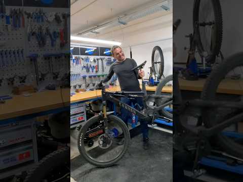 Perché alcune bici rimbalzano e altre no?