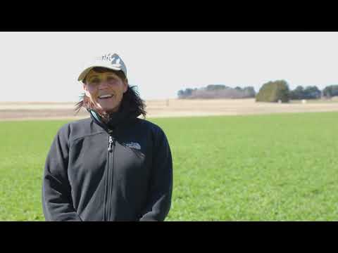 Organic No-Till: Voices of Farmers and Researchers | Sustainable ...