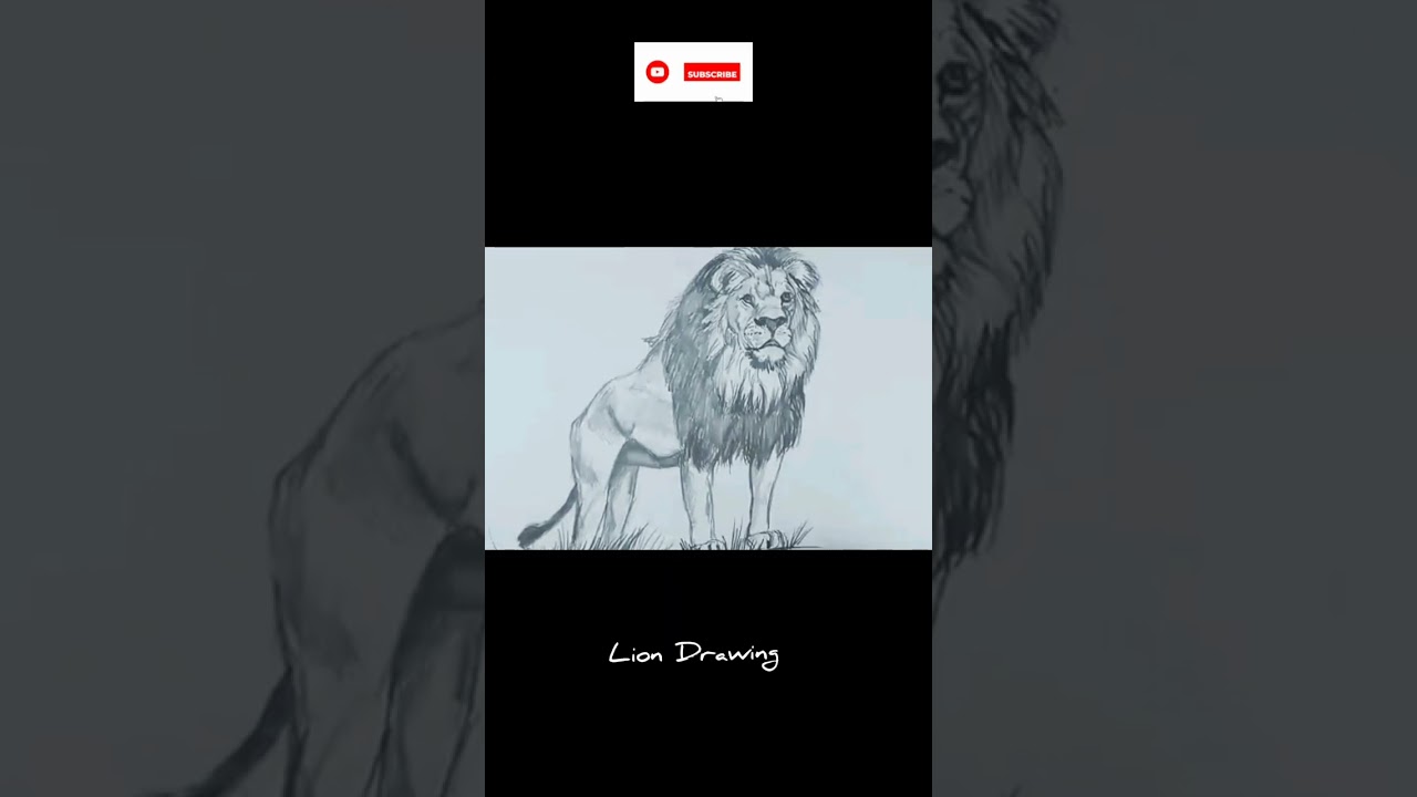 Lion Drawing #shorts #ytshorts #trending #viralvideo
